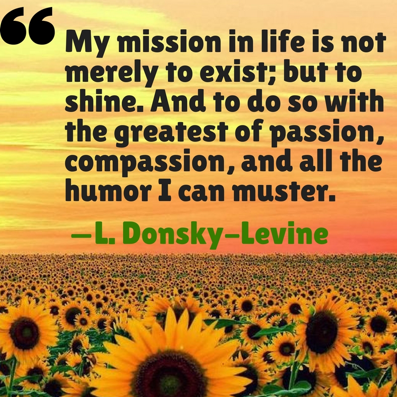 My Mission L Donsky Levine My Mission L Donsky Levine